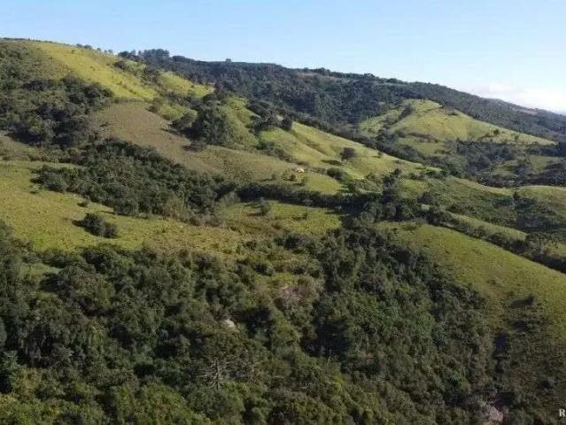 Sítio / Chácara para Venda em Cunha/SP Centro