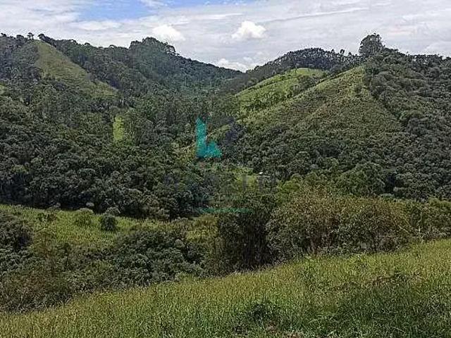 Sítio / Chácara para Venda em Cunha/SP Paraibuna