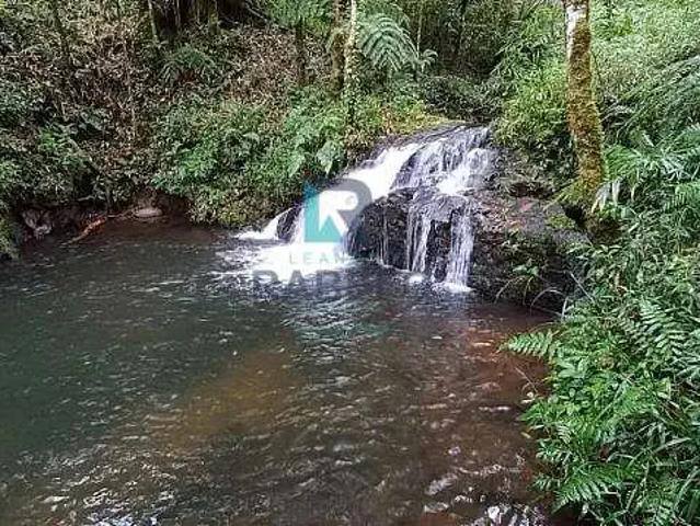 Sítio / Chácara para Venda em Cunha/SP Paraibuna