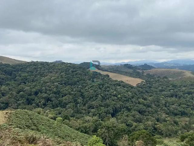 Sítio / Chácara para Venda em Cunha/SP Paraibuna
