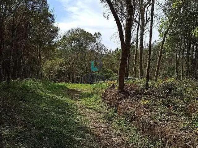 Sítio / Chácara para Venda em Cunha/SP Paraibuna