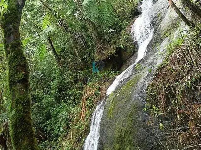 Sítio / Chácara para Venda em Cunha/SP Paraibuna