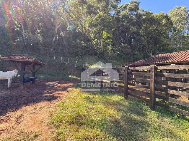 Sítio / Chácara para Venda em Cunha/SP Pedra Branca