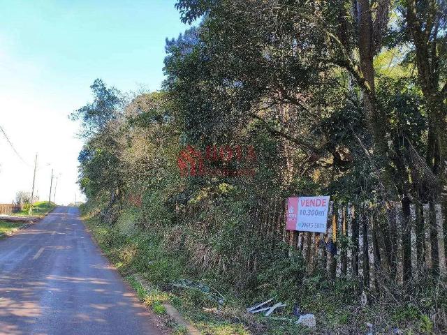 Sítio / Chácara para Venda em Curitiba/PR Augusta