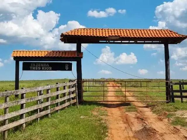 Sítio / Chácara para Venda em Amambaí/MS Zona Rural 15 Quartos