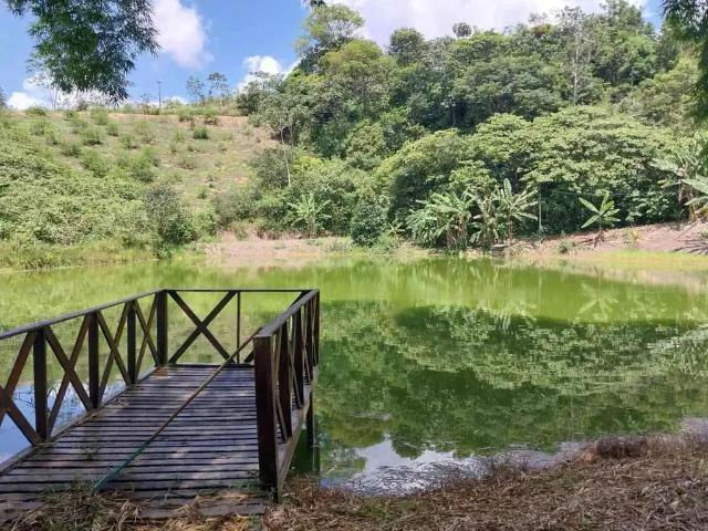 Sítio / Chácara para Venda em Amaraji/PE Zona Rural 5 Quartos