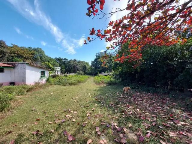 Sítio / Chácara para Venda em Americana/SP Fazenda Santa Lúcia