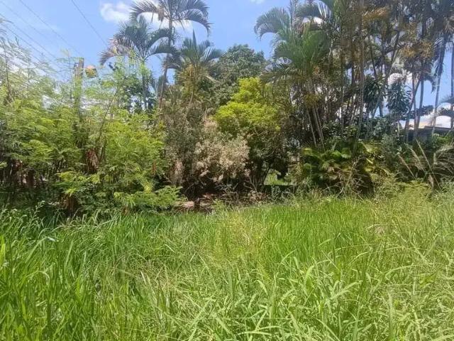 Sítio / Chácara para Venda em Americana/SP Jardim São Domingos