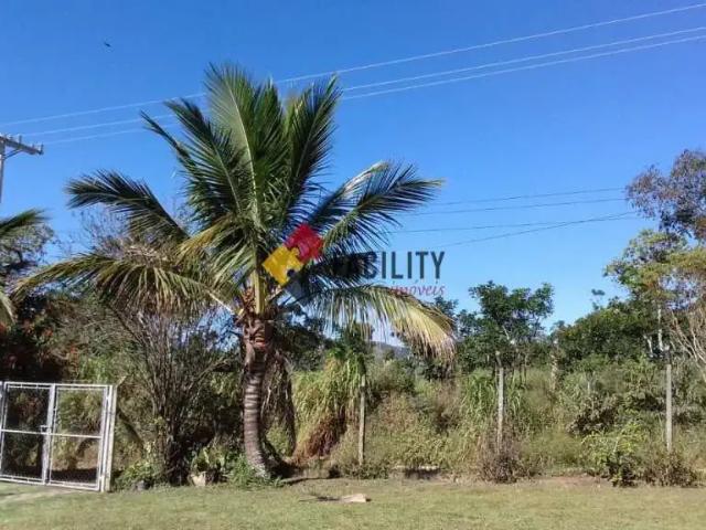 Sítio / Chácara para Venda em Amparo/SP Centro Três Pontes 5 Quartos