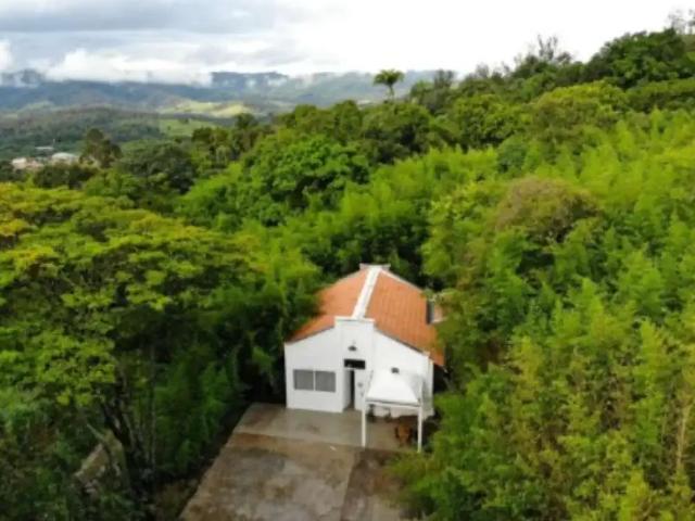 Sítio / Chácara para Venda em Amparo/SP Chácara São Francisco 4 Quartos
