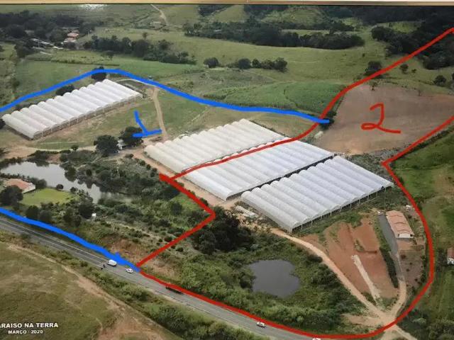 Sítio / Chácara para Venda em Amparo/SP Área Rural de Amparo 13 Quartos