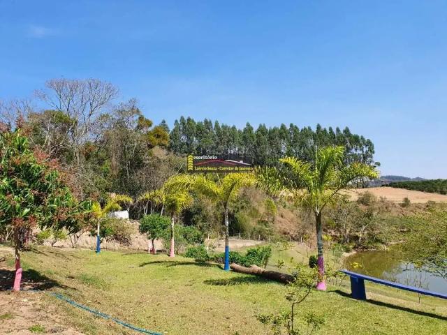 Sítio / Chácara para Venda em Amparo/SP Área Rural de Amparo 5 Quartos