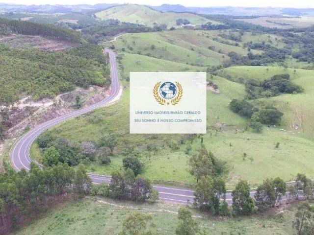 Sítio / Chácara para Venda em Amparo/SP Fazenda Tamburi