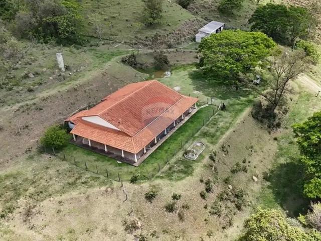 Sítio / Chácara para Venda em Amparo/SP Jardim Brasil 5 Quartos