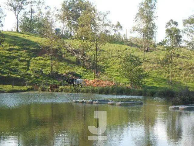 Sítio / Chácara para Venda em Amparo/SP Vila Nova 4 Quartos