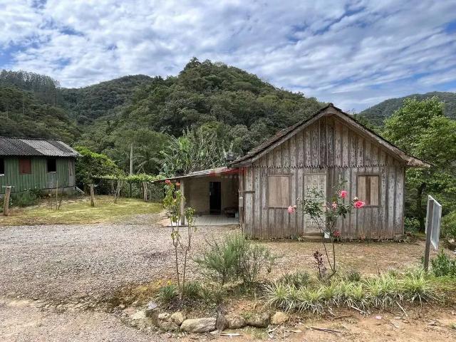 Sítio / Chácara para Venda em Antônio Carlos/SC Vila Doze de Outubro