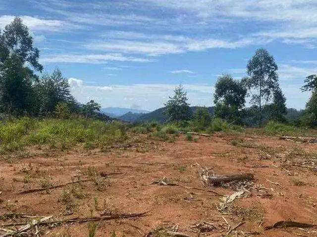 Sítio / Chácara para Venda em Antônio Carlos/SC Área Rural de Antônio Carlos 1 Quartos