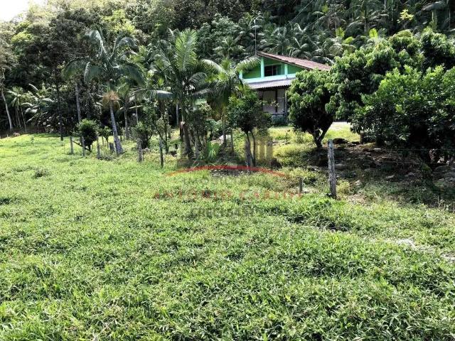 Sítio / Chácara para Venda em Antônio Carlos/SC Área Rural de Antônio Carlos 1 Quartos