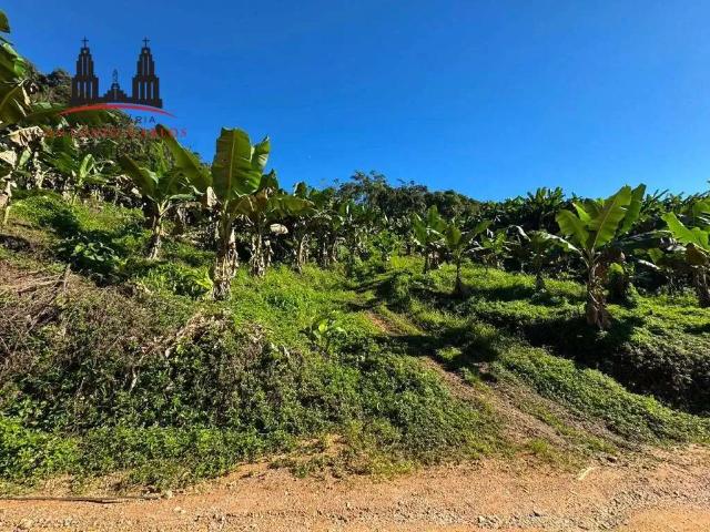 Sítio / Chácara para Venda em Antônio Carlos/SC Zona Rural