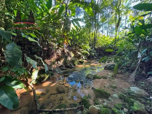 Sítio / Chácara para Venda em Antônio Carlos/SC Zona Rural