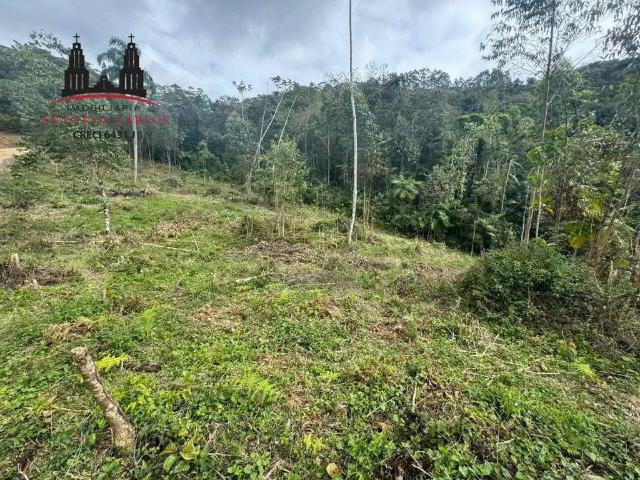 Sítio / Chácara para Venda em Antônio Carlos/SC Área Rural de Antônio Carlos