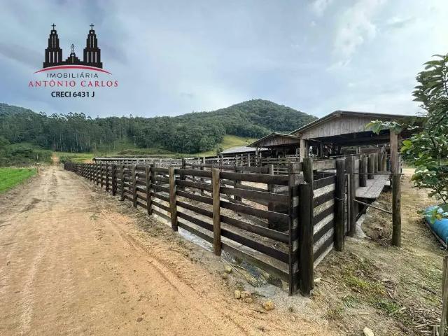 Sítio / Chácara para Venda em Antônio Carlos/SC Área Rural de Antônio Carlos