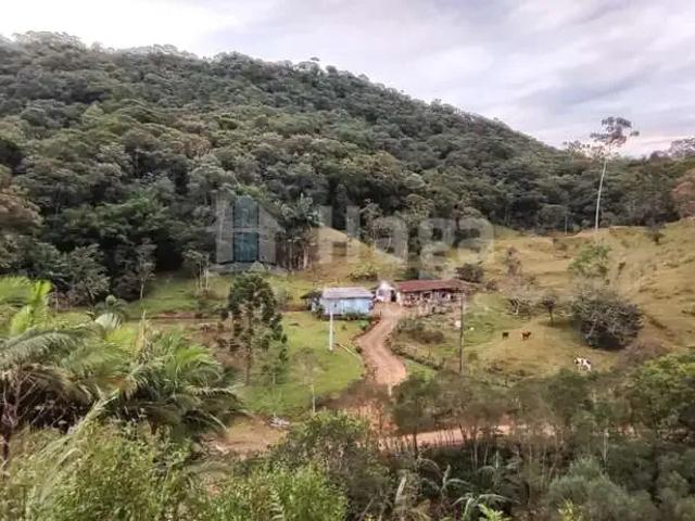 Sítio / Chácara para Venda em Antônio Carlos/SC Egito 2 Quartos