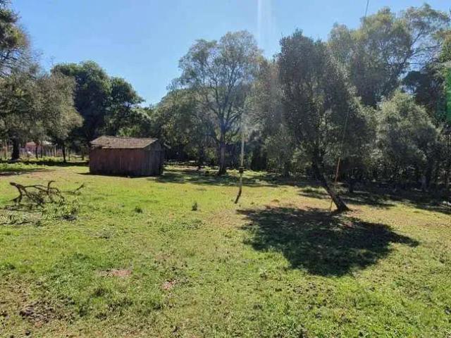 Sítio / Chácara para Venda em Antônio Olinto/PR Água Amarela 1 Quartos