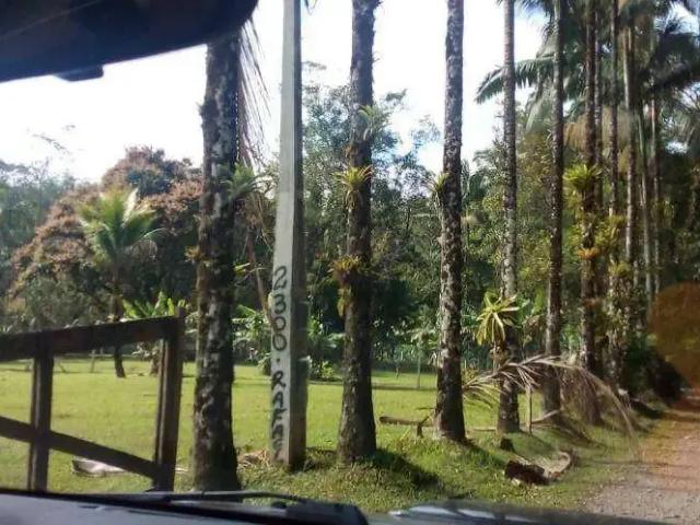 Sítio / Chácara para Venda em Antonina/PR Zona Rural