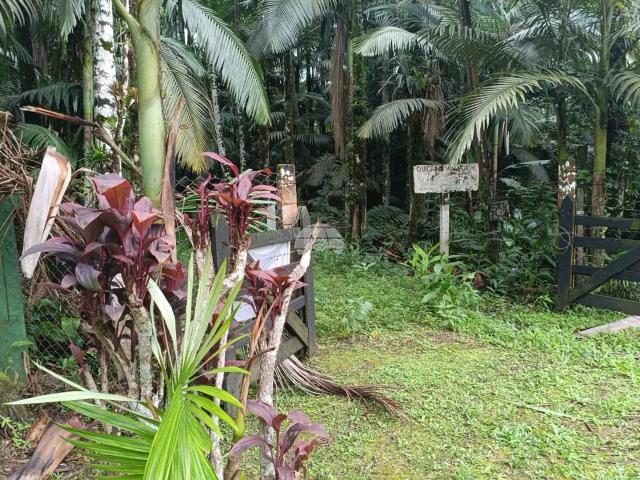 Sítio / Chácara para Venda em Antonina/PR Estrada do Cacatu 2 Quartos