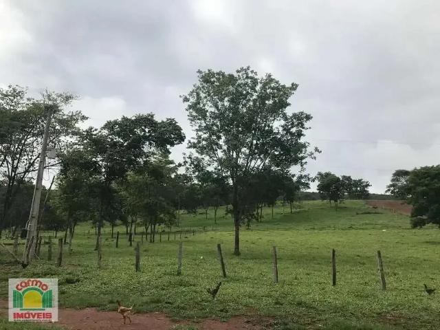 Sítio / Chácara para Venda em Anápolis/GO Distrito Agroindustrial de Anápolis 1 Quartos