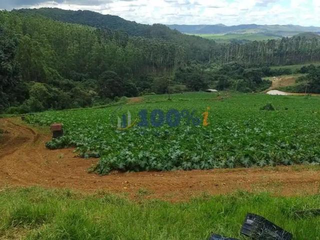 Sítio / Chácara para Venda em Andradas/MG Zona Rural 1 Quartos