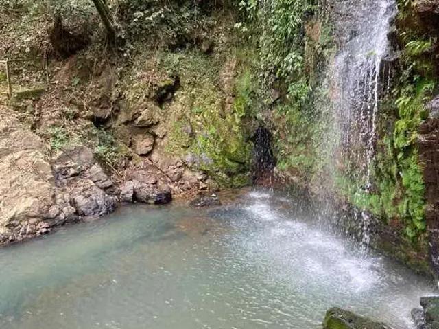 Sítio / Chácara para Venda em Andradas/MG Zona Rural 4 Quartos