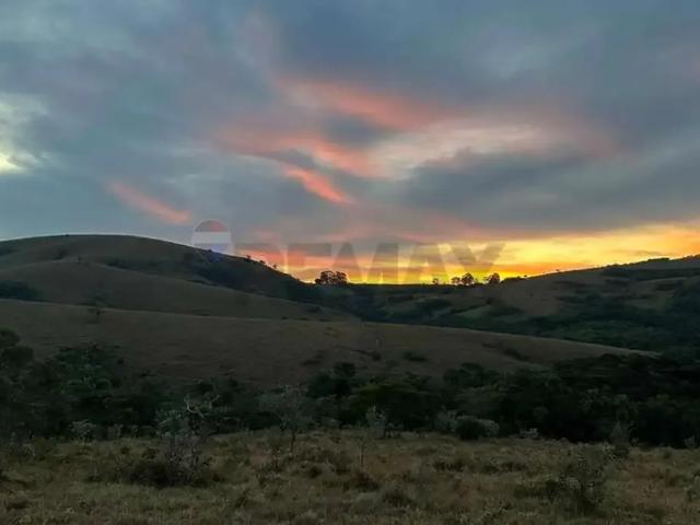 Sítio / Chácara para Venda em Andrelândia/MG Centro
