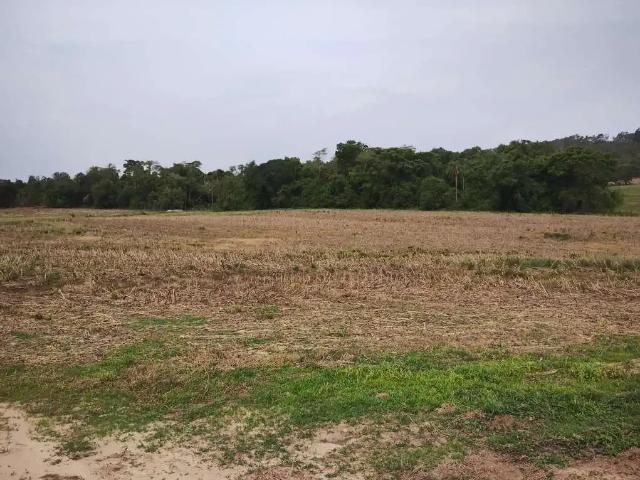 Sítio / Chácara para Venda em Angatuba/SP Zona Rural 2 Quartos