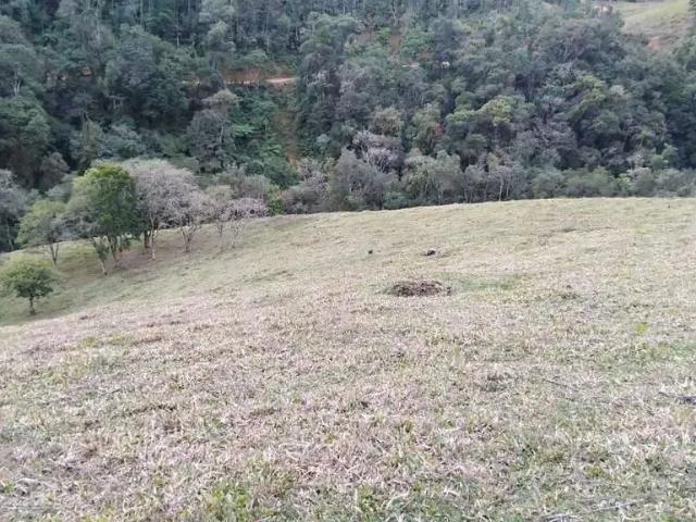 Sítio / Chácara para Venda em Angelina/SC Centro