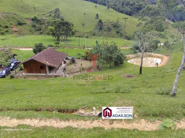 Sítio / Chácara para Venda em Angelina/SC Centro 4 Quartos
