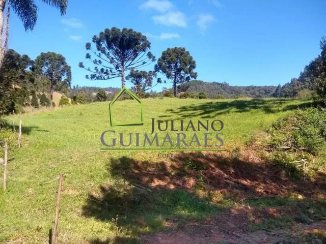 Sítio / Chácara para Venda em Anitápolis/SC Centro 5 Quartos