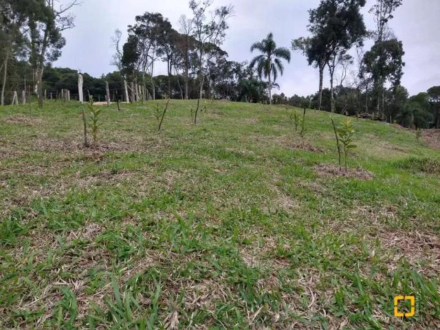Sítio / Chácara para Venda em Anitápolis/SC Centro 1 Quartos