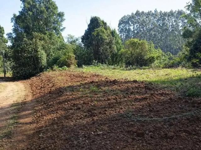 Sítio / Chácara para Venda em Anitápolis/SC Zona Rural