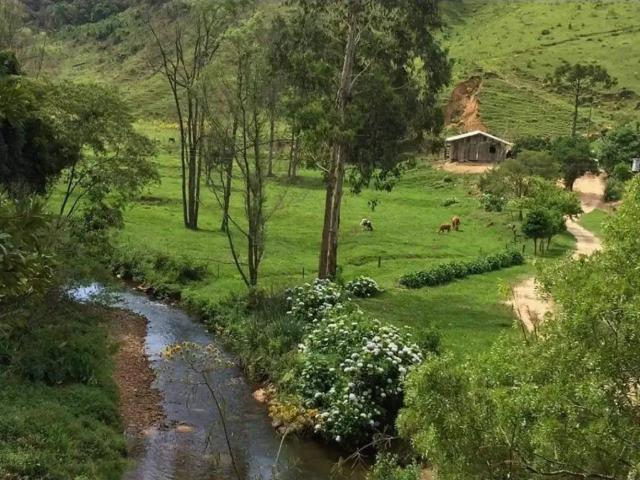 Sítio / Chácara para Venda em Anitápolis/SC Zona Rural