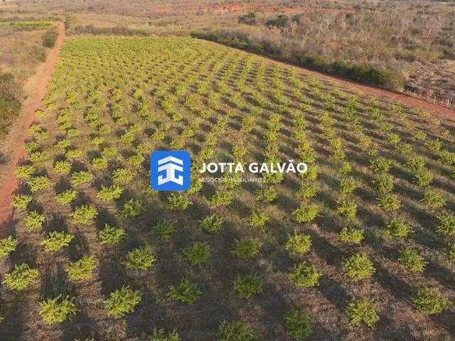 Sítio / Chácara para Venda em Abaiara/CE Centro