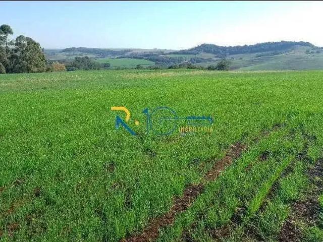 Sítio / Chácara para Venda em Abatiá/PR Zona Rural