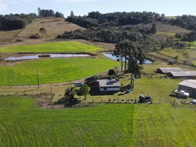 Sítio / Chácara para Venda em Abelardo Luz/SC Zona Rural
