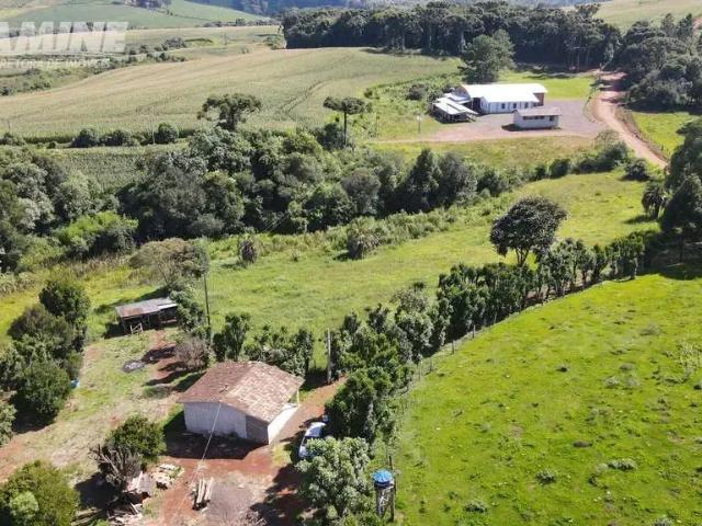 Sítio / Chácara para Venda em Abelardo Luz/SC Zona Rural