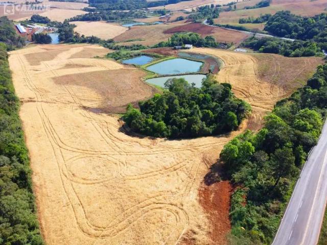 Sítio / Chácara para Venda em Abelardo Luz/SC Zona Rural