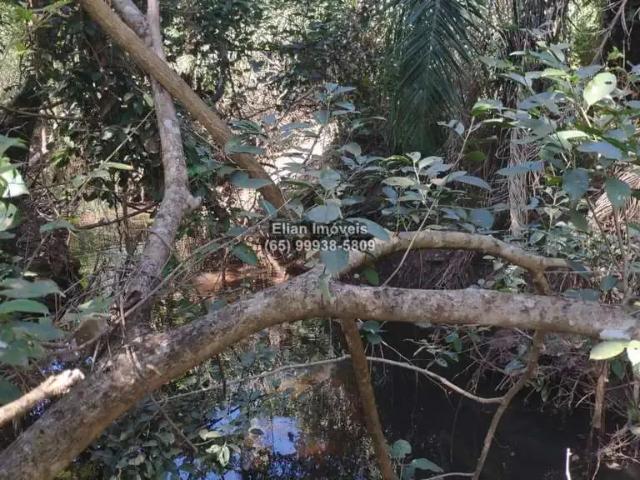 Sítio / Chácara para Venda em Acorizal/MT Baús