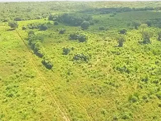 Sítio / Chácara para Venda em Acorizal/MT Centro