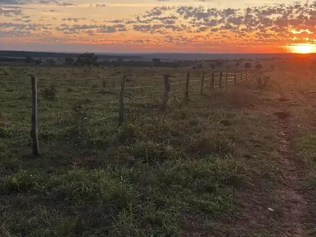 Sítio / Chácara para Venda em Água Clara/MS Zona Rural