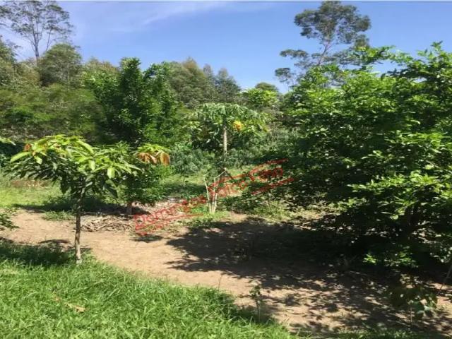 Sítio / Chácara para Venda em Águas de São Pedro/SP Graminha
